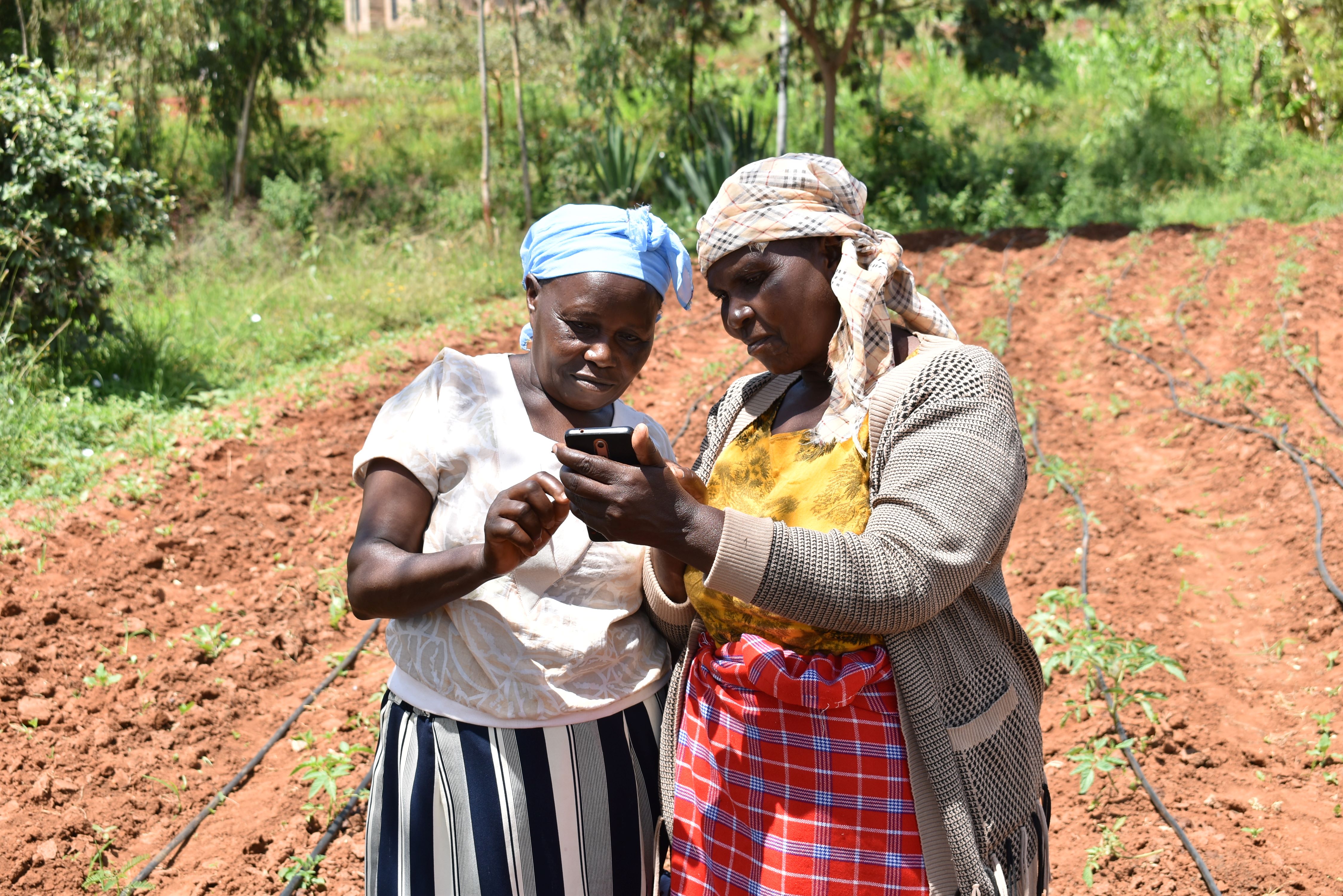 Shamba Pride – OPES-LCEF | P4G